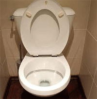 Poor toilet etiquettes lead to health hazards - Vanguard News